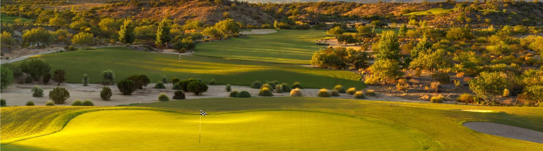 Golf Handicaps, Tournaments & Leagues in AZ | Premier Golf Club